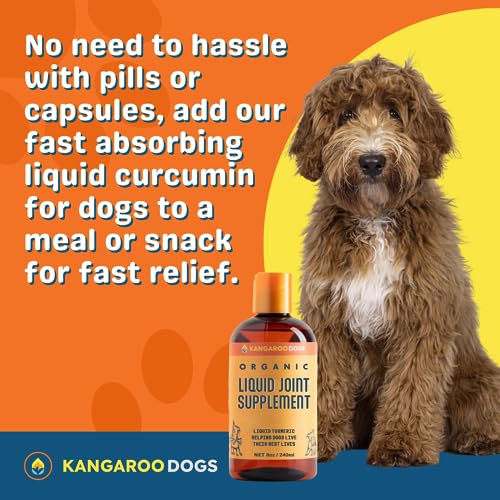Kangaroo Dogs Organic Turmeric Curcumin Dog Joint Supplement - Liquid for Faster and Better Absorption Natural Dog Joint Supplement Liquid (8 oz)