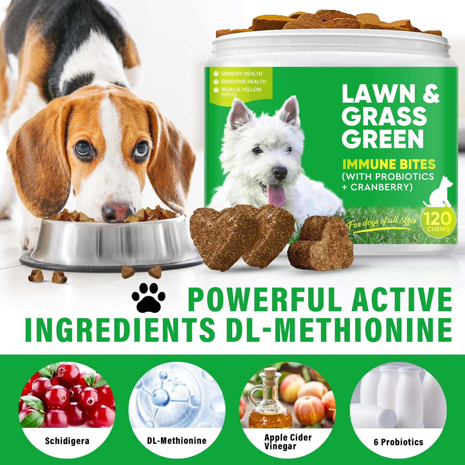 FILBA Dog Urine Neutralizer for Lawn, Grass Burn Spot Supplement Soft Chews for Dog Urine, Support Bladder, Kidney&Urinary Tract, Reduce Grass Burn/Pee/Yellow Spots, 120 Chews