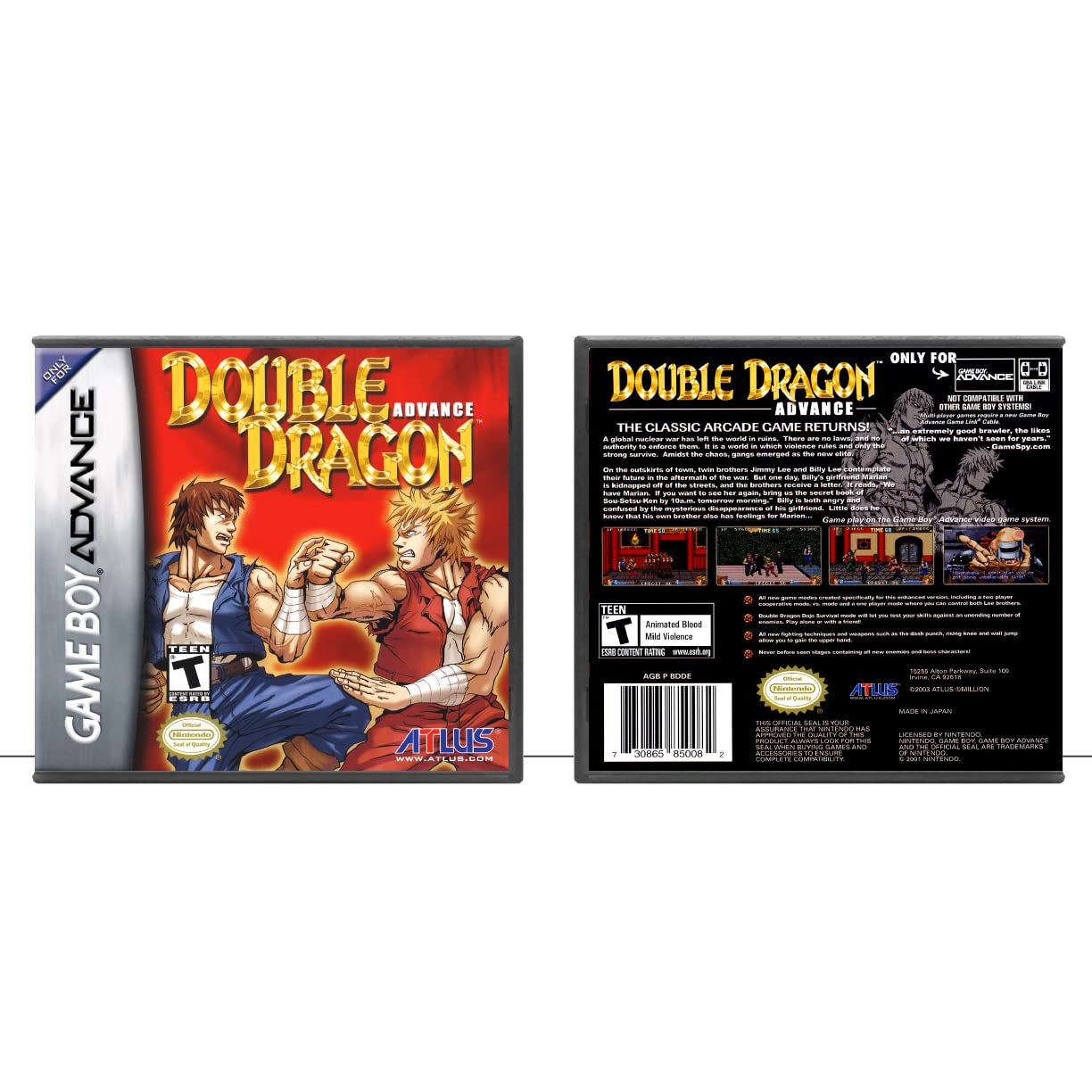 Double Dragon Advance | (GBA) Game Boy Advance - Game Case Only - No Game