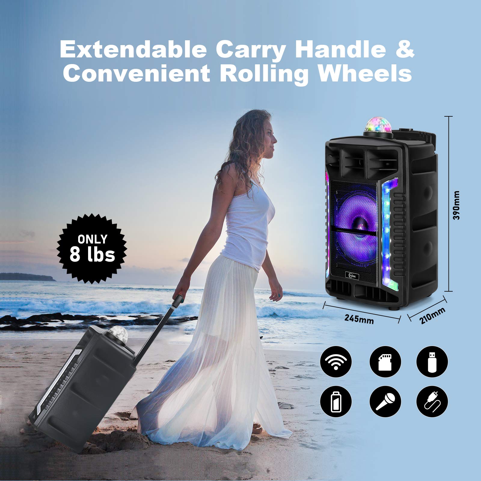 Portable Karaoke Machine 8ββ PA Speaker System Bluetooth Karaoke System for Adults & Kids with Disco Ball, Microphone Rechargeable Battery USB/SD Reader