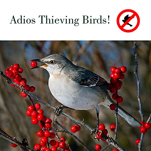 DALEN Holographic Scare Reflective Tape β Bird Deterrent Tape with Metallic Noise Feature, Broad Application and Easy to Use Bird Scare Ribbon (3/4" x 100') - 1 Roll