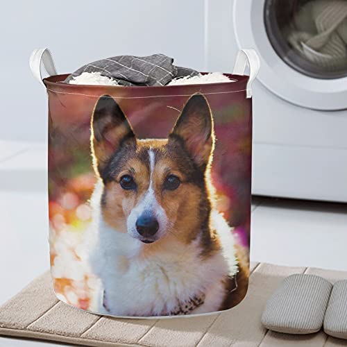 LJMKZJN Cute Large Corgi Dog Laundry Hamper Collapsible Large Laundry Basket Foldable Clothes Basket Portable Laundry Bin for Bedroom, Bathroom, Laundry Room,Washing Bin