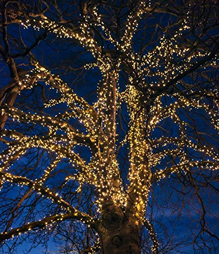 DecoBrite Incandescent 69ft (21m) 300 ct Christmas String Lights Clear with Green Wire, Indoor Outdoor Christmas Lights Decorations for Tree, Patio, Garden(300 Clear Bulbs with Green Wire