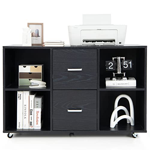 IFANNY 2 Drawer File Cabinet, Lateral Filing Cabinet with Shelves & Wheels, Black Buffet Sideboard, Rolling Storage Cabinet, Wood Cabinets for Home Office, Dining Living Room, Kitchen, Bedroom