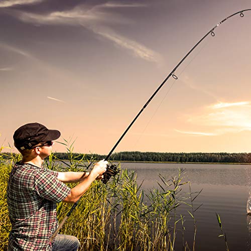Cadence Essence Spinning Rod, Strong & Lightweight 24-Ton Graphite Rod, Stainless Steel Guides with SIC Inserts, Freshwater or Saltwater, Extremely Sensitive Spinning Rod