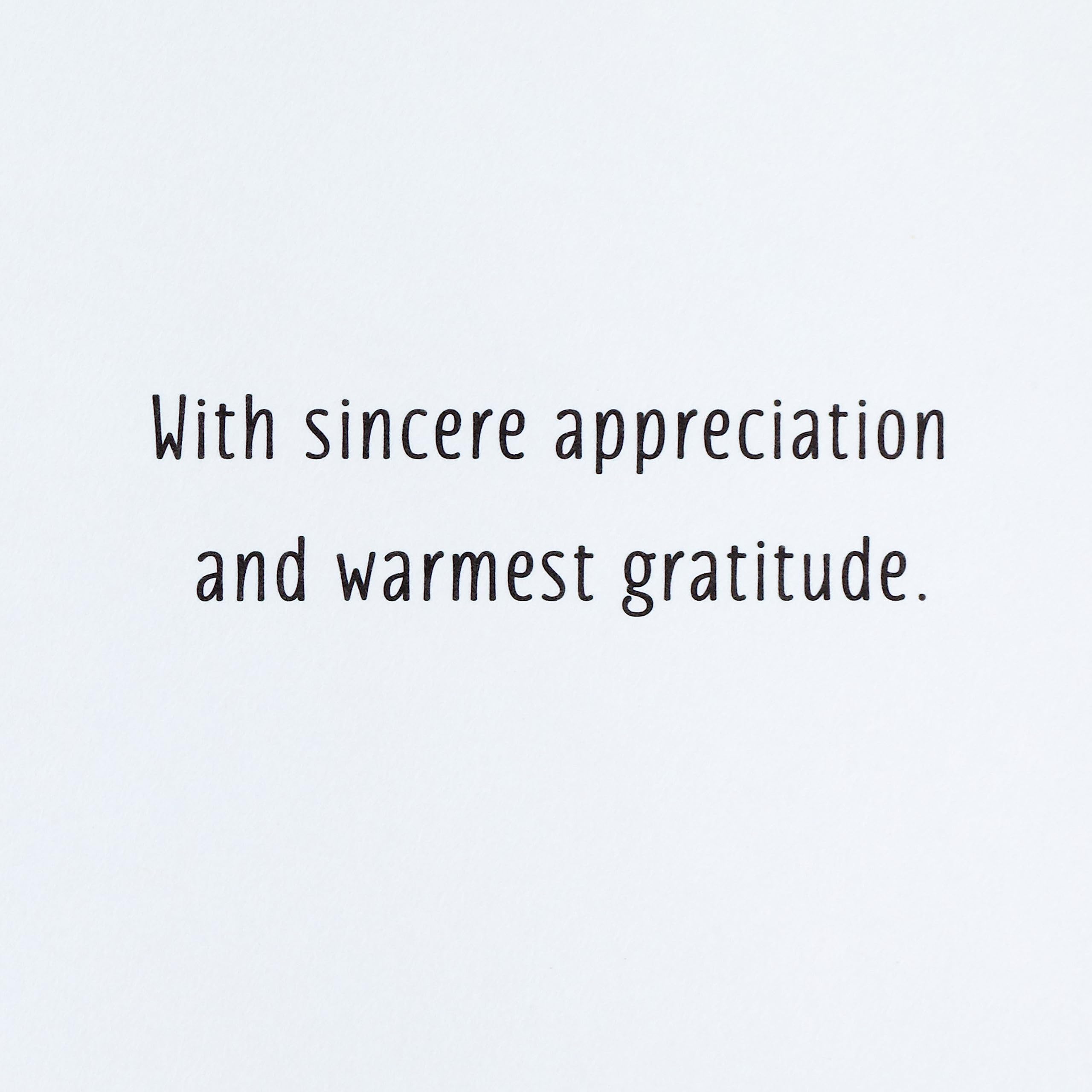 Hallmark Fall Thank You Cards (6 Cards with Envelopes) for Thanksgiving, Teachers, Clergy Appreciation, Boss's Day
