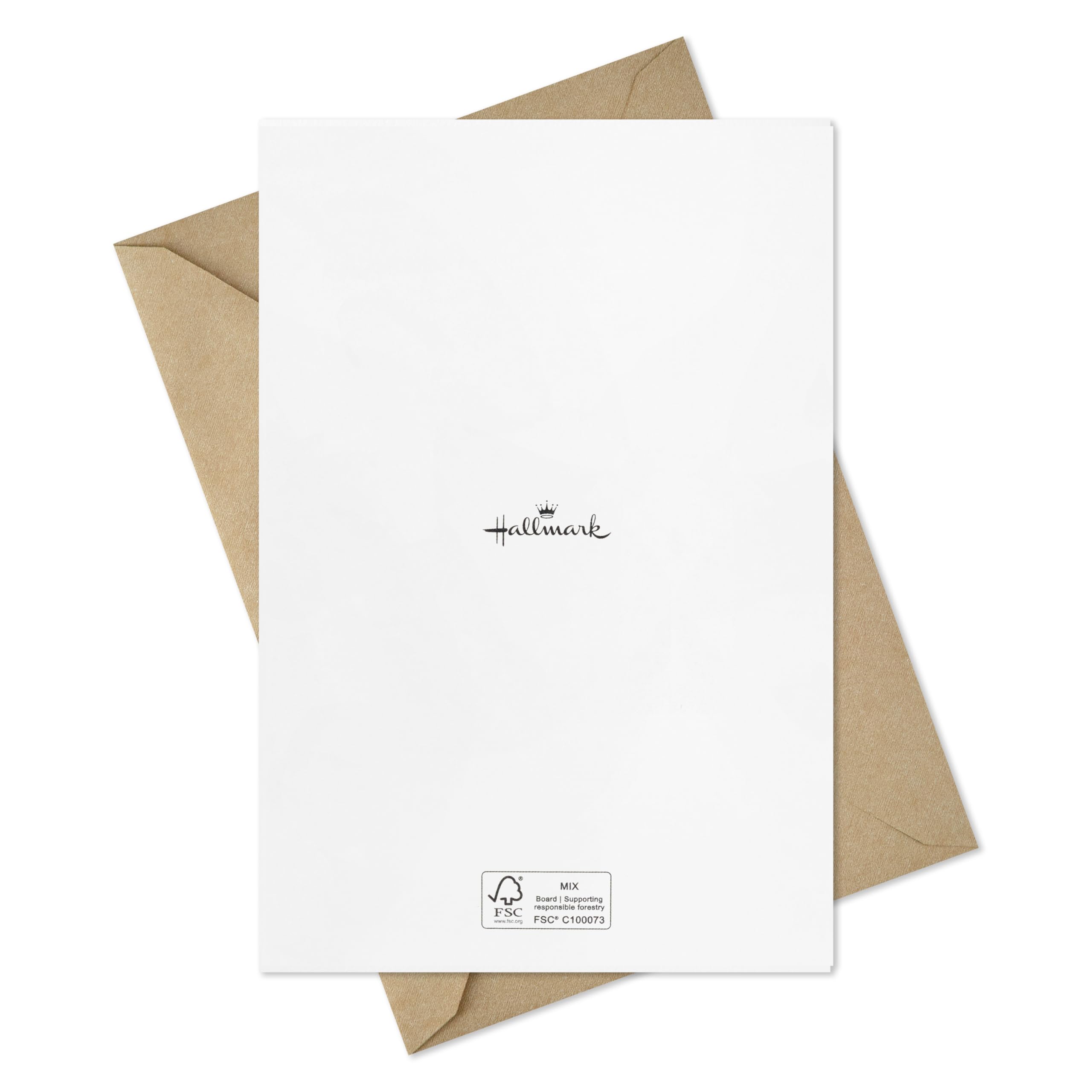 Hallmark Sympathy Card Assortment (16 Cards with Envelopes, 4 Designs) Minimalist Nature