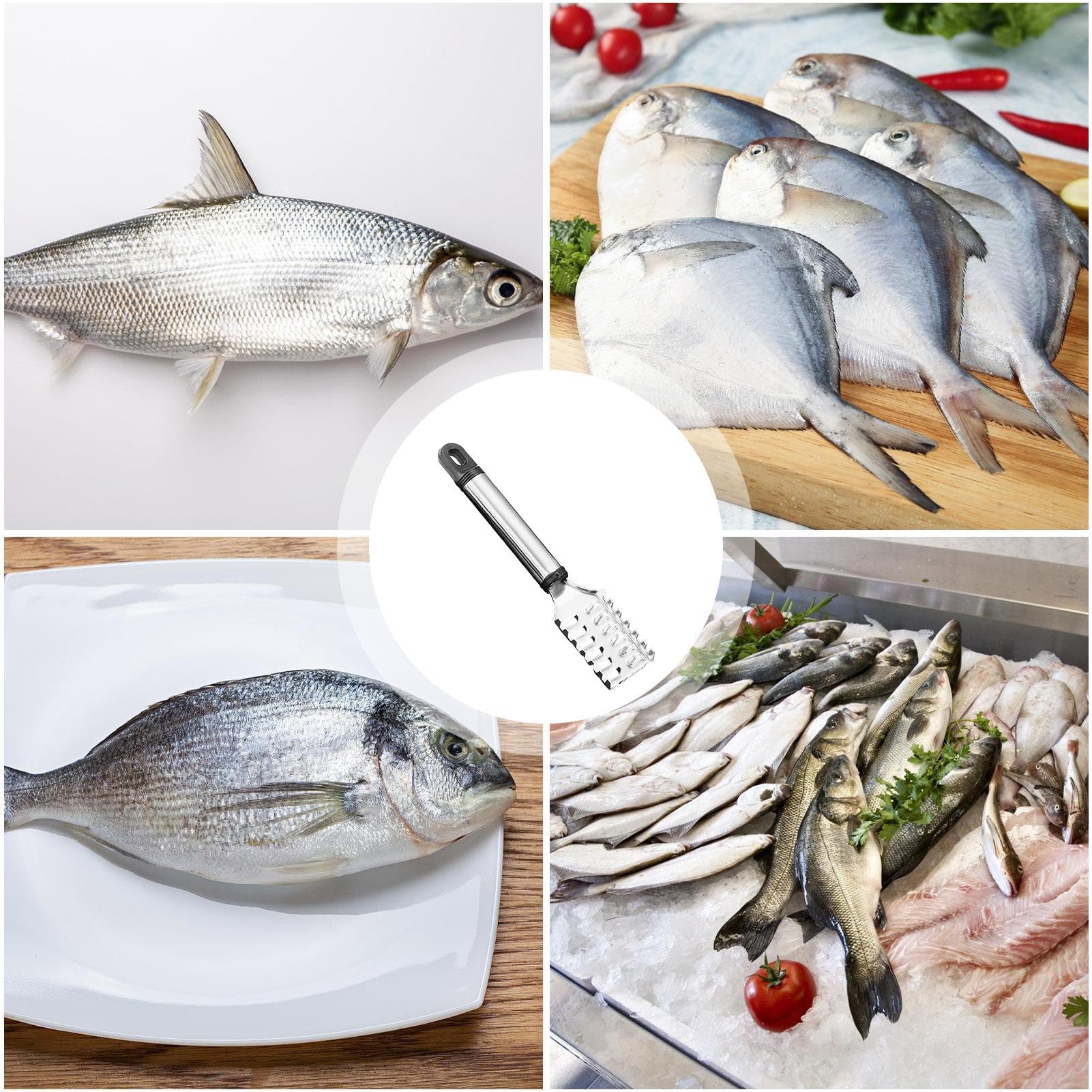 Fish Scale Remover Tool - Fish Scaler Tool | Fish Scaler Brush, Handheld Stainless Steel Scarper Remover, Scarper Remover and Descaler with Ergonomic Handle, Kitchen Tool for Fish Scaling Cleaning