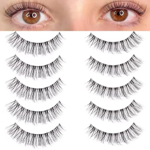 DZANIK Natural Eyelashes (Natural lashes-2)