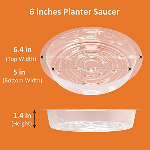 Gardzen Heavy Duty Clear Plastic Plant Saucers, Flower Pot Tray - Excellent for Indoor & Outdoor Plants (6-Inch, 10-Pack)