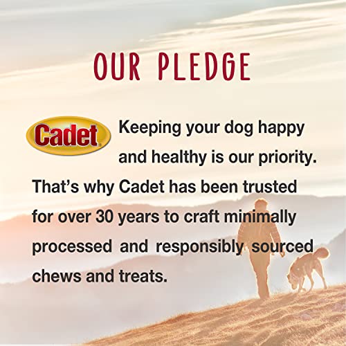 Cadet Bully Hide Sticks for Small, Medium and Large Dogs β All-Natural Beef Pizzle, High Protein, Low Fat, Long-Lasting, Grain & Rawhide-Free Dog Chews for Aggressive Chewers, Large (7 Count)
