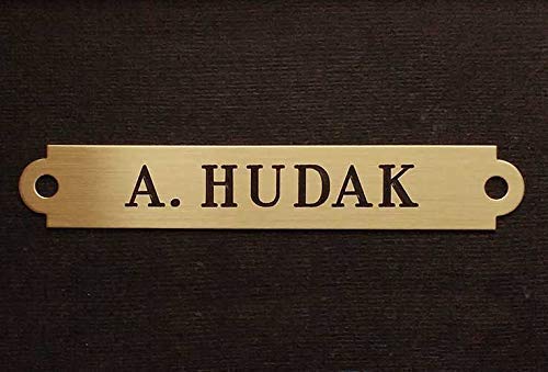 HALTER PLATE XLARGE THICK Notched Brass or Nickel Silver I.D. Plate .050" Thick Custom Engraved
