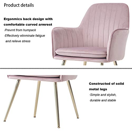 ceedment Modern Living Dining Room Accent Arm Chairs Club Guest with Gold Metal Legs (2, Pink)