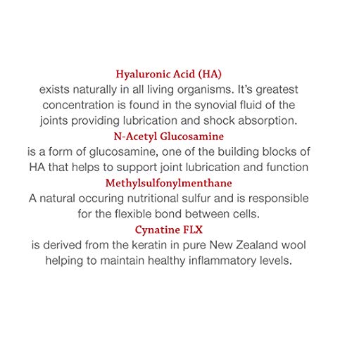 Hyalogic Pro Advanced HyaFlex for Dogs β Amazing Joint Support Supplement for Your Buddy β 30 Beef Flavored Wafers - Dog Joint Supplement w/Hyaluronic Acid, Glucosamine, MSM & Cynatine (30 Tablets)
