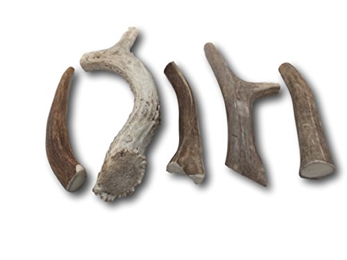 Top Dog Chews – Large Variety Pack, Premium, Grade A, Antlers for Large, Medium or Small Dogs, Antlers from Deer, Elk, & Moose Included, Natural, Long Lasting, Chews for Aggressive Chewers, 1lb