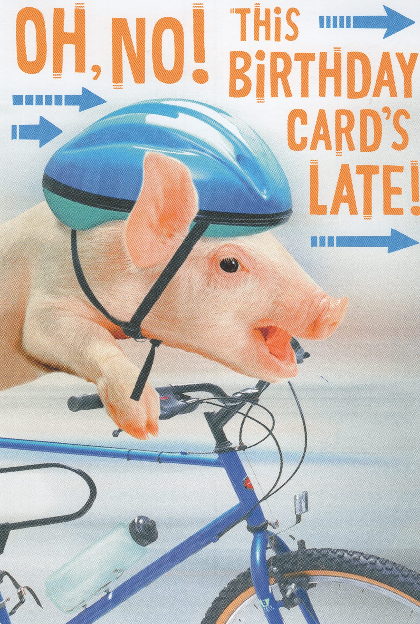 Heartline Funny Pig on Bike Bicycle Belated Birthday Card - Oh, No! This Birthday Card's Late! Sowwy! Hope You Celebrated Pig Time!