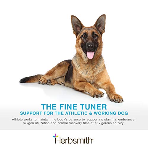 Herbsmith Athlete β Canine Endurance Supplement for Working and Agility Dogs β For the Canine Athlete β 75g Powder