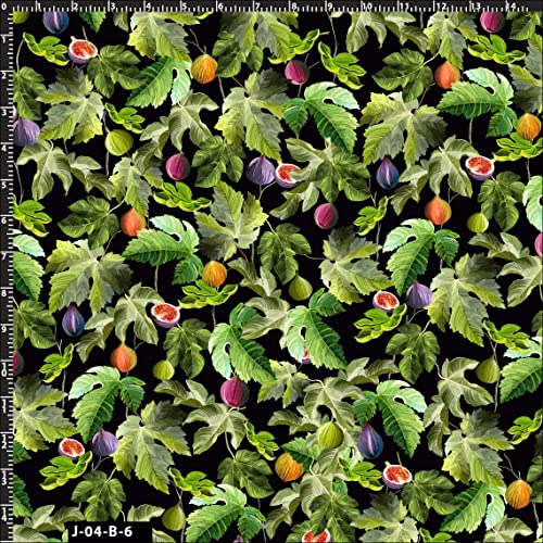 Texco Inc 100% Combed Quilting Prints Craft Cotton Apparel Home/DIY Fabric, Black Green Purple Red 3 Yards