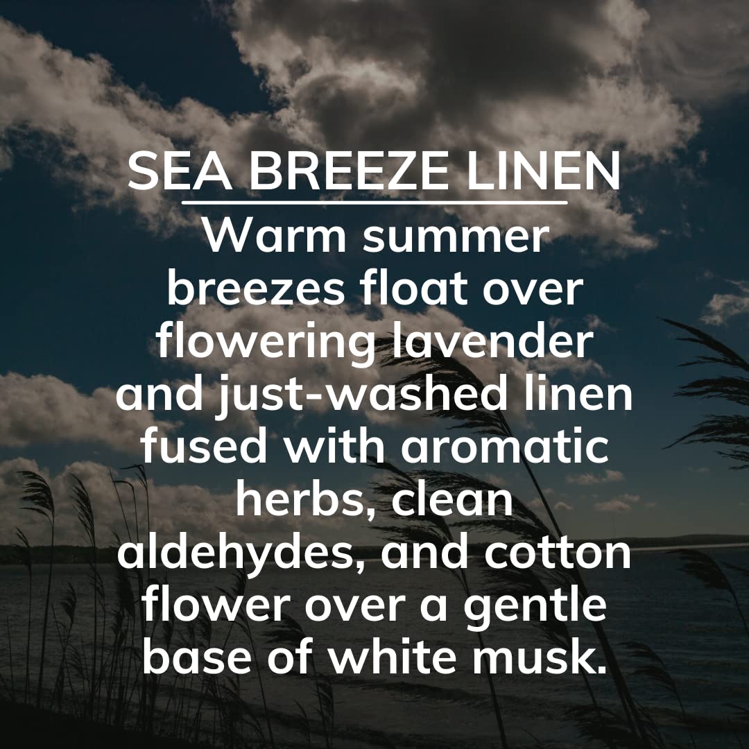Citrus Magic On The Go Odor Absorbing Solid Air Freshener, Sea Breeze Linen, 8-Ounce, Pack of 1