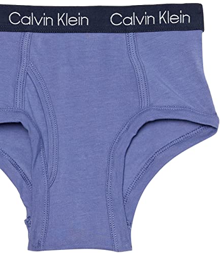 Calvin Klein Boys' Little Modern Cotton Assorted Briefs Underwear, 3 Pack, Blue/Marl/Samb, Large