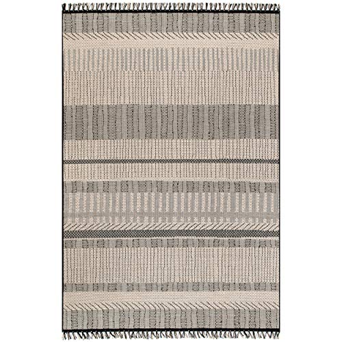 nuLOOM Indoor/Outdoor Modern Moroccan Megan Area Rug, 4' x 6', Grey
