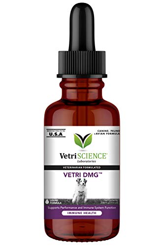 VetriScience Vetri DMG Liquid Drop Immune Support Supplement for Dogs, Cats and Birds, 112mL Bottle