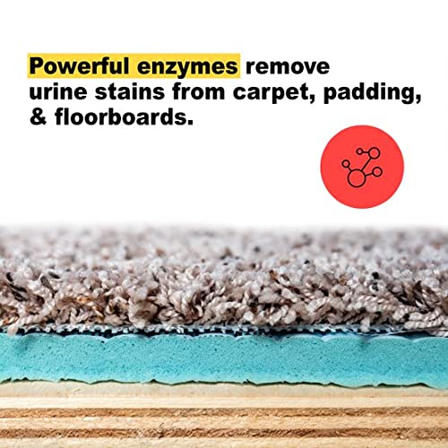 Urine Gone Stain & Odor Eliminator: Professional Strength Fast-Acting Enzyme-Based Solution, Instantly Penetrates and Neutralizes into the Fibers of a Carpet, Stops Pets from Remarking