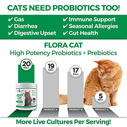 Vital Planet - Flora Cat Probiotic Powder Supplement with 20 Billion Cultures and 10 Diverse Strains High Potency Probiotics for All Cats for Feline Digestive and Immune Support 30 Scoops 3.92 oz