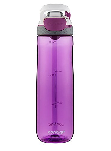 Contigo AUTOSEAL Cortland Water Bottle, 24 oz, Radiant Orchid