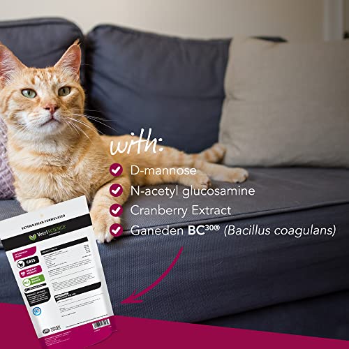 VETRISCIENCE UT Strength Feline Urinary Tract Supplement for Cats β Chews for Urinary Tract Support with Cranberry Powder, Bromelain, and Probiotics