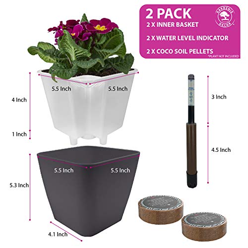 GARDENIX DECOR 5" Self Watering pots for Indoor Plants - Flower Pot with Water Level Indicator for Plants, Grow Tracking Tool - Self Watering Planter Plant Pot β 2 Pack Gray