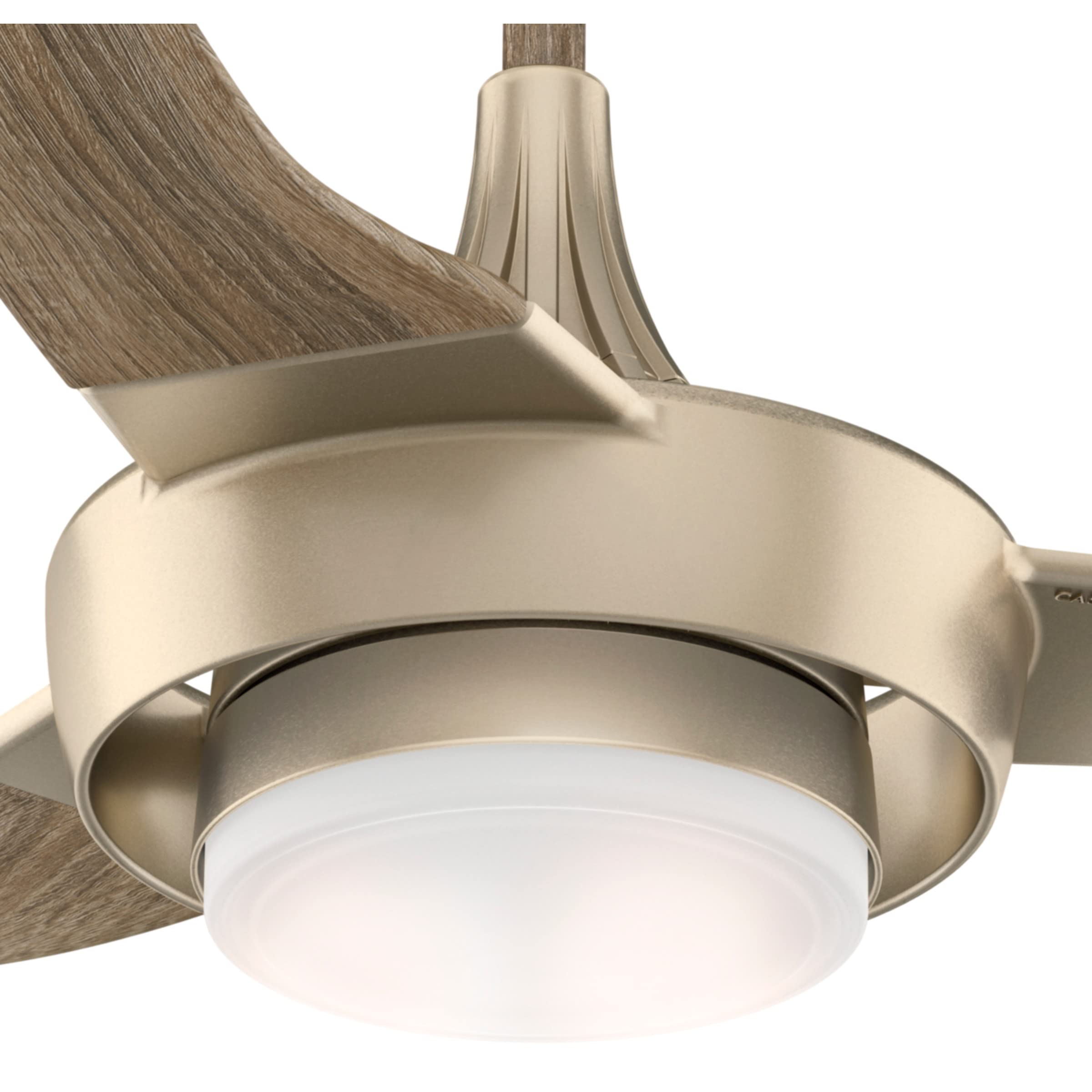 Casablanca Perseus Indoor/Outdoor Ceiling Fan with LED Light and Wall Control