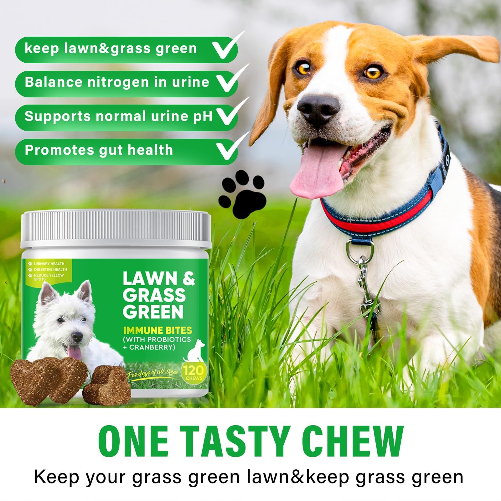 FILBA Dog Urine Neutralizer for Lawn, Grass Burn Spot Supplement Soft Chews for Dog Urine, Support Bladder, Kidney&Urinary Tract, Reduce Grass Burn/Pee/Yellow Spots, 120 Chews