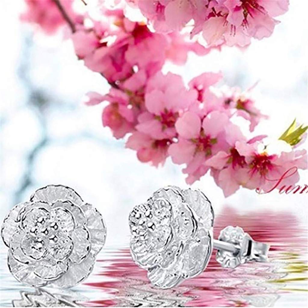 S5E5X Premium Quality Elegant Cherry Earrings Simple Temperament Earrings Accessories Gifts for Women (A)