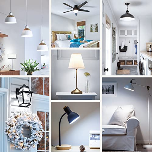 Maylaywood A19 LED Light Bulbs, 60 Watt Equivalent LED Bulbs, Daylight White 5000K, 850 Lumens, E26 Standard Base, Non-Dimmable, 9W Bright White LED Bulbs for Living Room Bedroom Home Office, 4-Pack