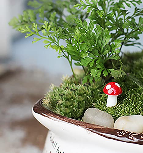 Exasinine 60 Pcs Mini Mushroom Tiny Mushroom Resin Mushroom Decor Miniature Figurines Fairy Garden Miniature Moss Landscape DIY Terrarium Crafts for Home DéCor
