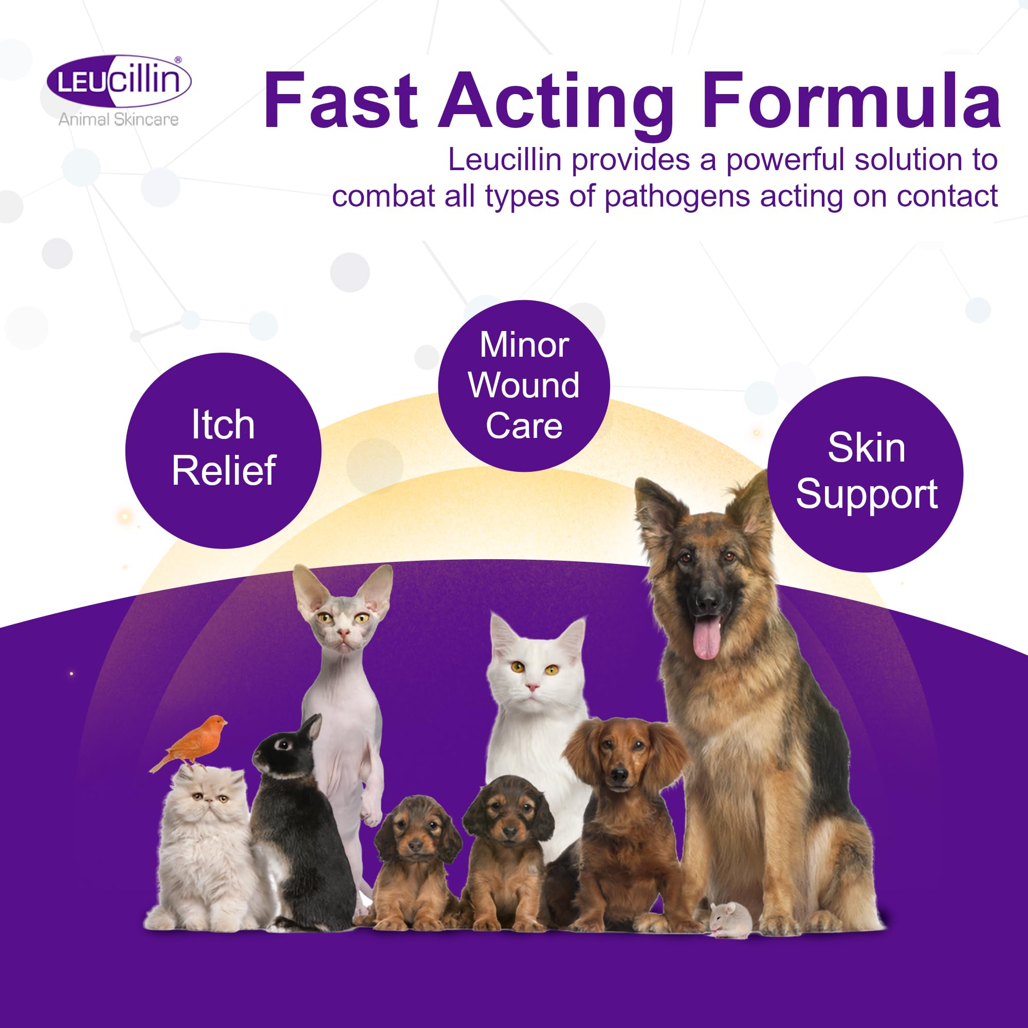 Leucillin Natural Antiseptic Spray for Dogs, Soothes Itchy Skin and Promotes Healing, Effective Treatment for Dogs, Wound and Skin Care Solution for Pets, First Aid Kit Essential - 150ml