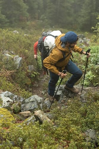 Cascade Mountain Tech Trekking Poles - Ultralight 2 Piece Carbon Fiber Walking or Hiking Sticks with Quick Adjustable Locks (Set of 2) , Black