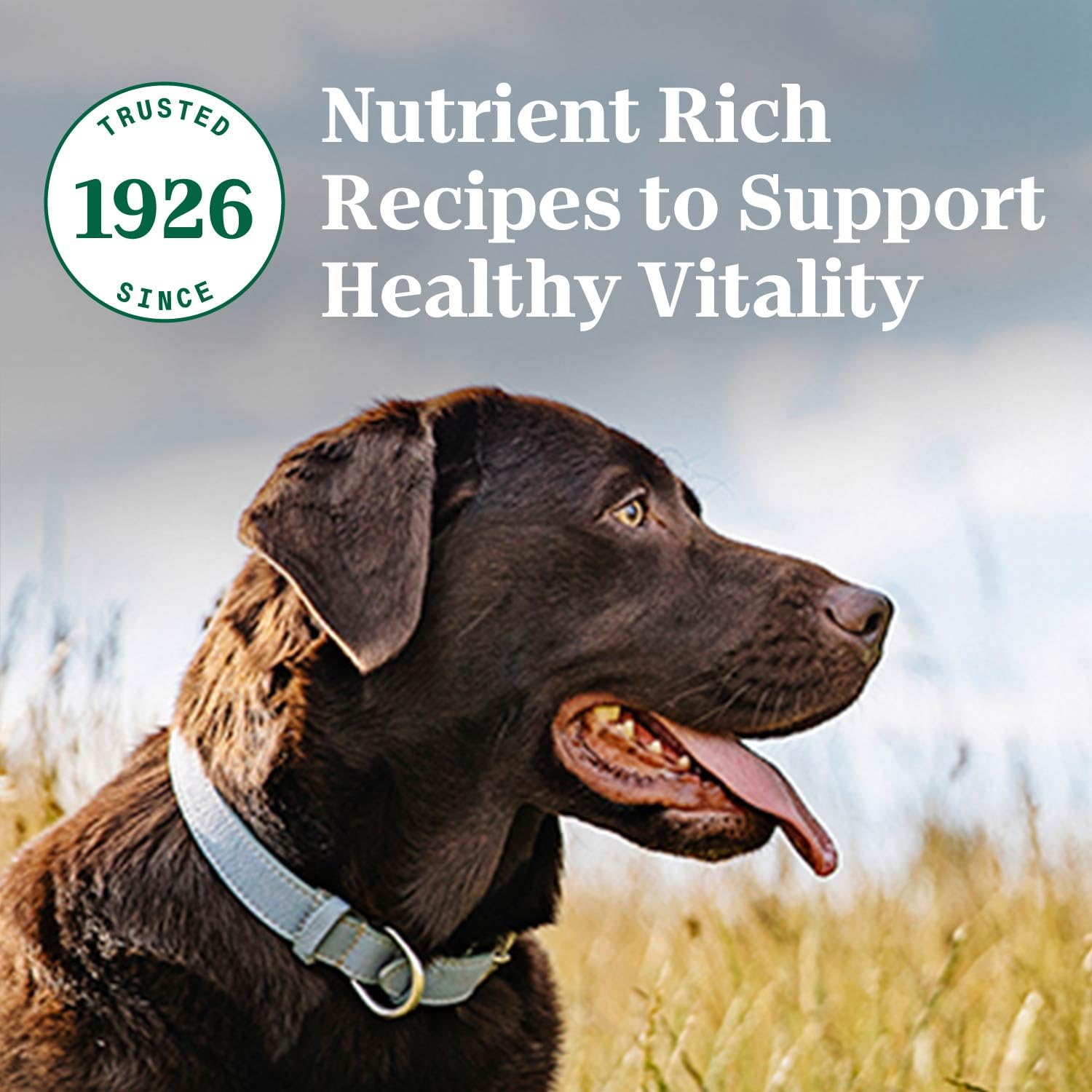 Nutro Natural Choice Adult Dry Dog Food, Salmon & Brown Rice Recipe, 28 lb. Bag