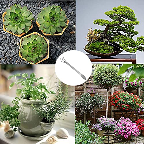 GOTOTOP Bonsai Rake Lightweight 3-Prong Stainless Steel Root Rake Loosen Soil Bonsai Tree Toool with Ergonomic Handle for Outdoor