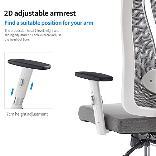 Cedric Office Chair,Breathable Mesh Computer Chair with Ergonomic Adjustable Lumbar Support, White Swivel Desk Chair with Adjustable Armrest and Headrest, Soft Cushion Seat