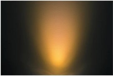 Solar Paw Print Lights (Set of 4), Warm White(3000-4500k) (Warm White)
