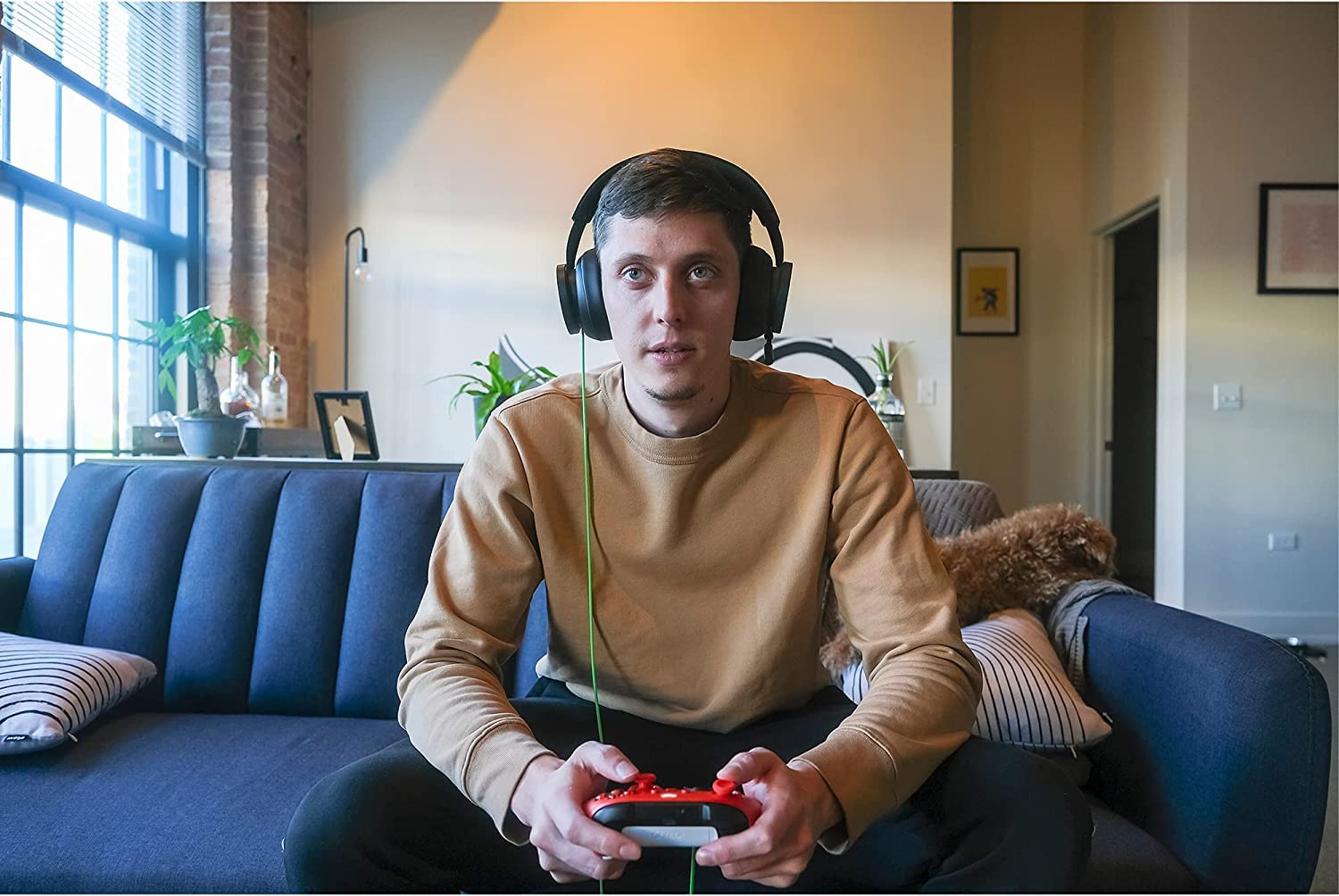 Xbox Wired Stereo Headset Series S/X
