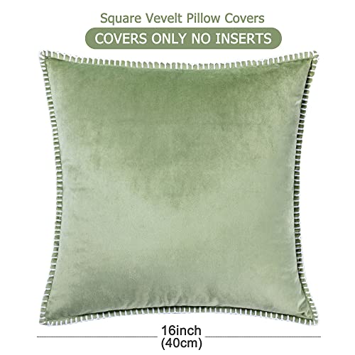 GAWAMAY Decorative Fall Black Pillow Covers 16x16 Inch, Pack of 2 Soft Velvet Square Cushion Cases with Chenille Edge Green Throw Pillowcase Shell for Living Room Sofa Patio Tent Couch Beding 40x40cm