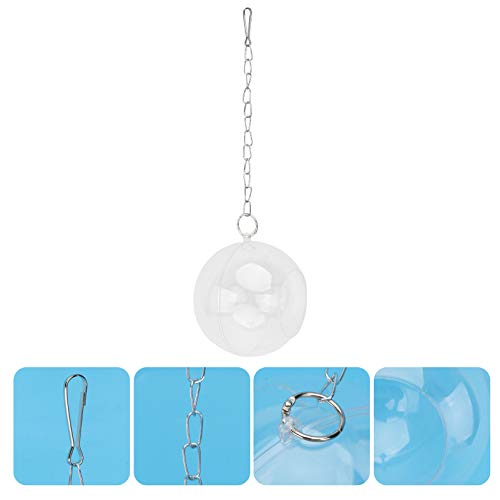 Mipcase 2 PCS Parrot Feeder Toy Bird Foraging Toy Parrot Forager Toy Bird Foraging Feeder Clear Pet Birds