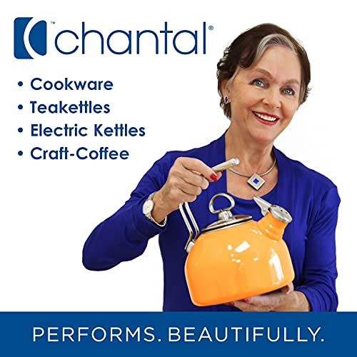 Chantal Electric Kettle, Royale Series, 32 OZ, Stainless Steel BPA-Free, Boil-Dry Guard, Multi-use Spout, (Silver)