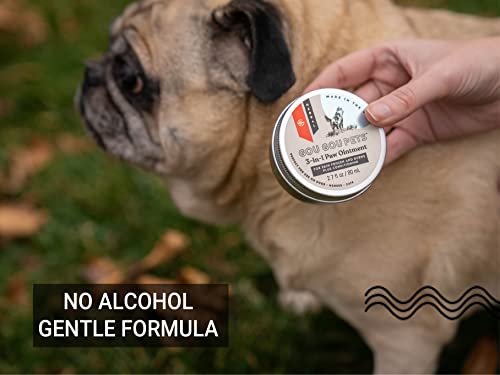Gou Gou Pets 3-in-1 Paw Ointment Holistic Natural Derived Herbalfor Dogs, Cats, Horses: Conditioning & Moisturizing for Extreme Heat & Cold Causing Frozen & Burned Paws - Made in USA - 1 oz
