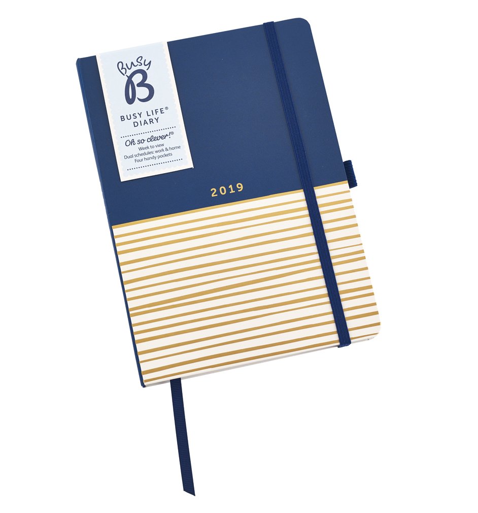 Busy B A5 2019 Stripe Design Busy Life Week to View Diary with Pockets and Dual Schedules