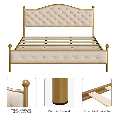 HIFIT Queen Size Platform Bed Frame with Elegant Button Tufted Curved Headboard, Velvet Upholstered Bed Frame with No Noise, Heavy Duty Metal Frame Foundation, No Box Spring Needed, Gold-Beige
