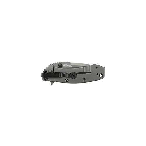 Kershaw Cryo Knife, 2.75" Stainless Steel Drop Point Blade, Assisted Opening Everyday Carry Pocket Knife